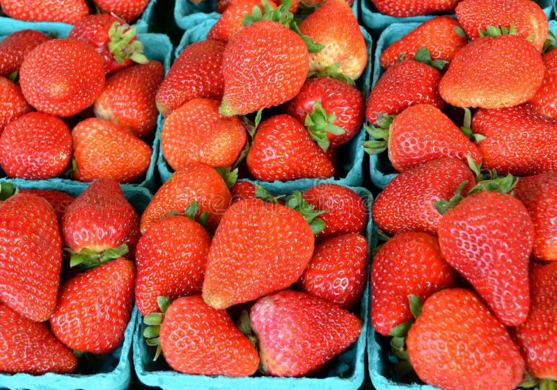 Strawberries, two pints stock photo. Image of berry - 104687198