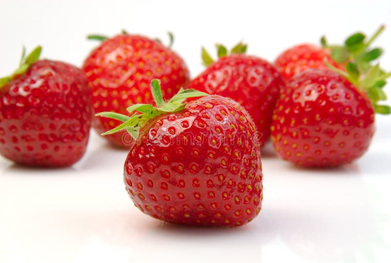 Fresh strawberries stock photo. Image of studio, sweet - 5653492