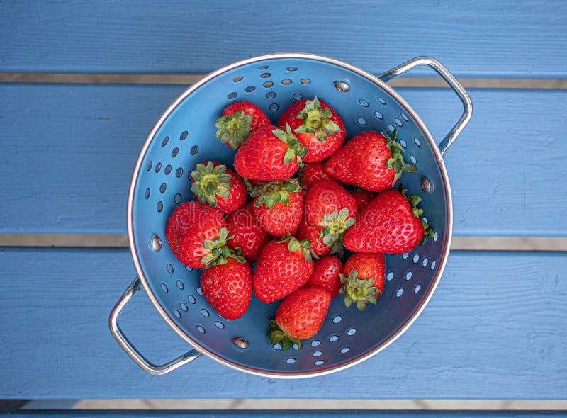 Fresh Strawberries in a Blue Colander on the Table Stock Photo - Image ...