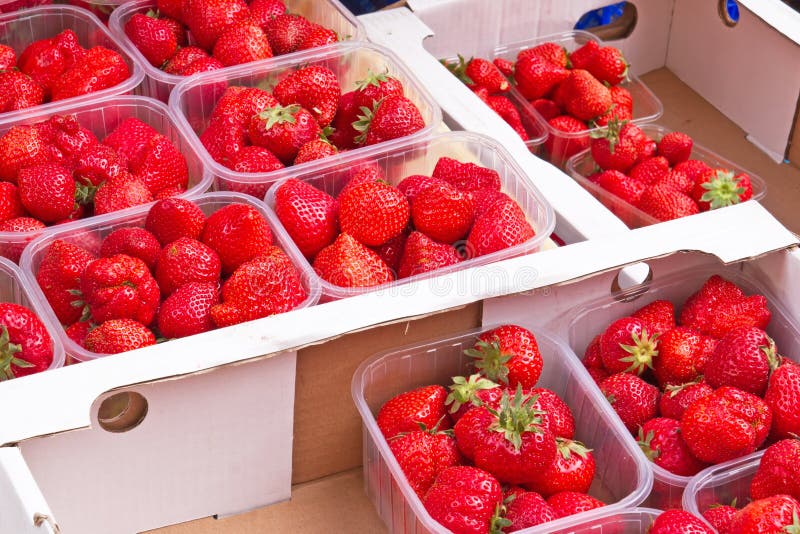Fresh Strawberries in Boxes Stock Image - Image of freshness, farmer ...