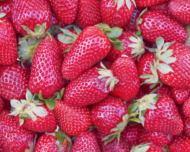 Fresh Red Strawberries, Top View Closeup, Natural Red Pattern ...