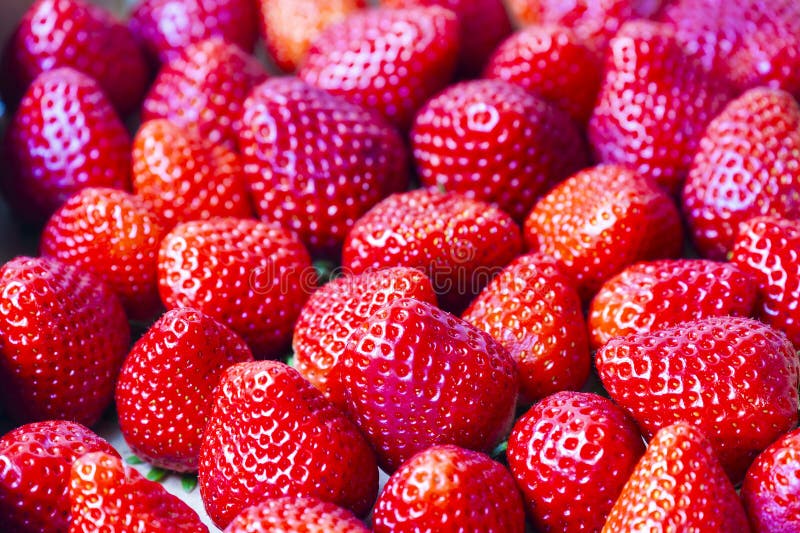 Fresh Strawberries Create a Visually Rich Texture in this Image Stock ...