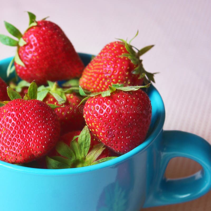 Fresh Strawberries in a Cup Stock Photo - Image of fruity, refreshing ...