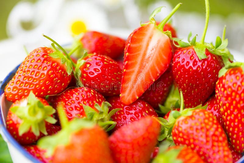 Fresh Strawberries stock image. Image of refreshment - 93505695