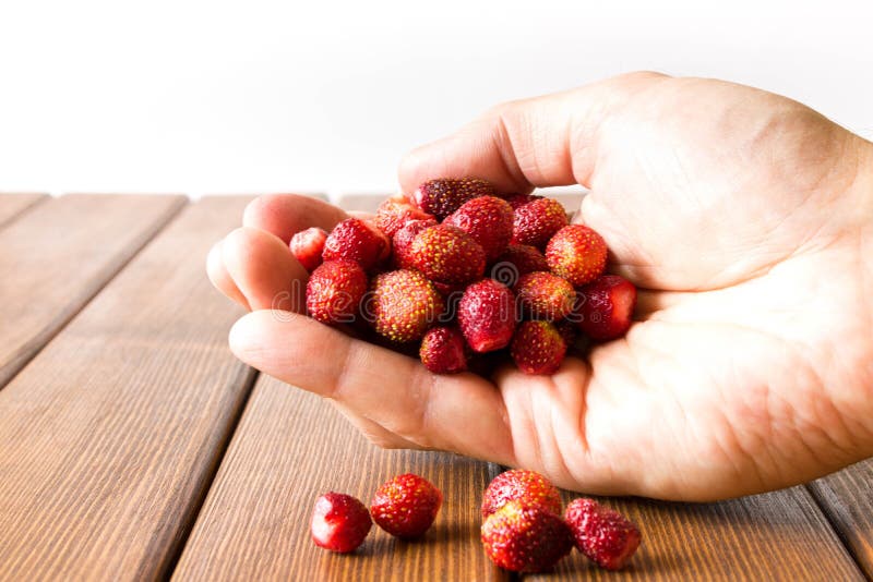 Fresh Strawberries in the Human Hand. the Concept of Natural Foo Stock ...
