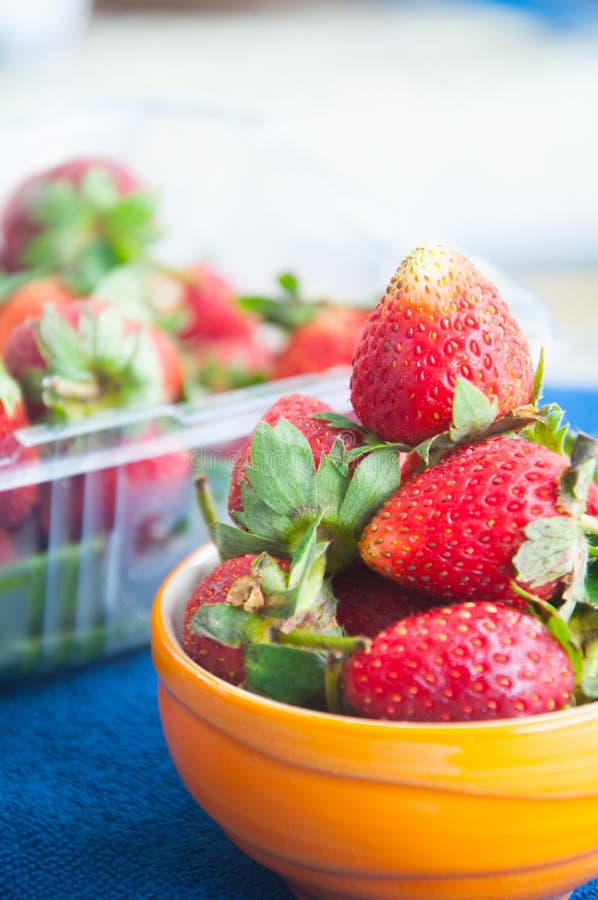 Fresh strawberries in cup stock image. Image of strawberry - 64342263