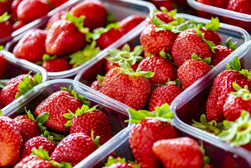 Fresh Strawberries in Plastic Boxes Put Up for Sale in the Store Stock ...