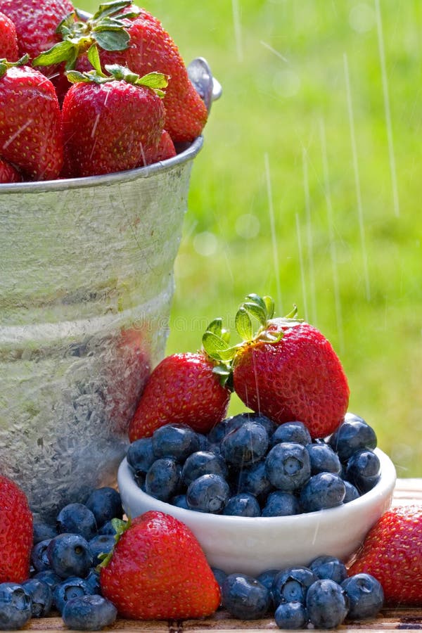 Fresh Strawberries in the Rain Stock Image - Image of blueberry, clean ...
