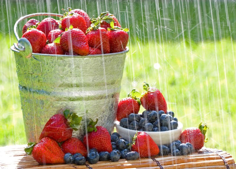 Fresh Strawberries in the Rain Stock Image - Image of harvest, bowl ...