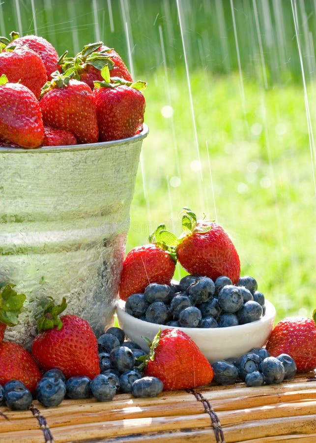 Fresh Strawberries in the Rain Stock Image - Image of blueberry, clean ...