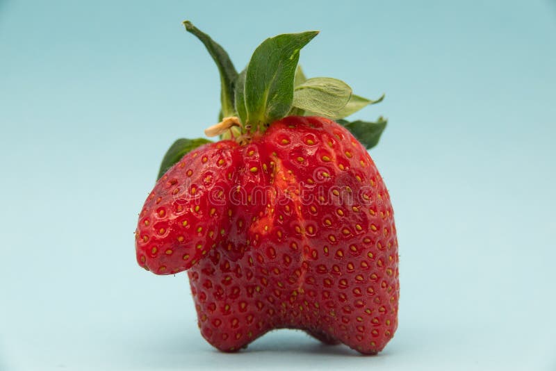 Strawberries in Strange Shape on White Background with Clipping Stock ...