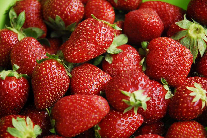 Fresh Strawberries - Strawberry Stock Image - Image of seasonal, summer ...
