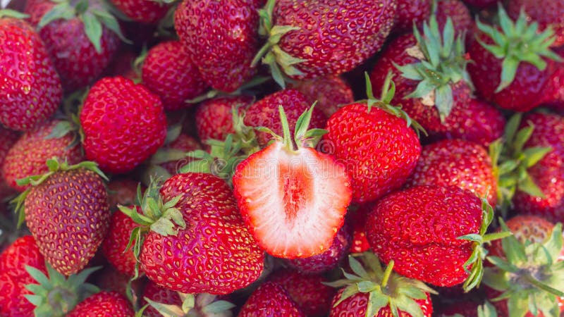 Fresh Strawberries, a Strawberry Berry is Cut in Half and a Red Juicy ...