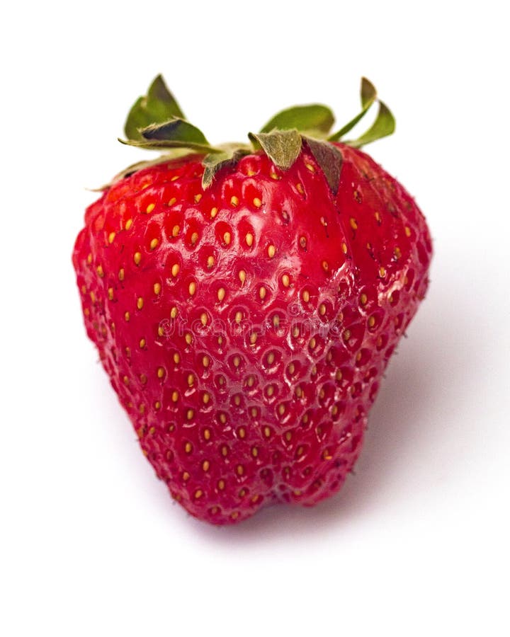Fresh Strawberries on a White Background Stock Image - Image of ...
