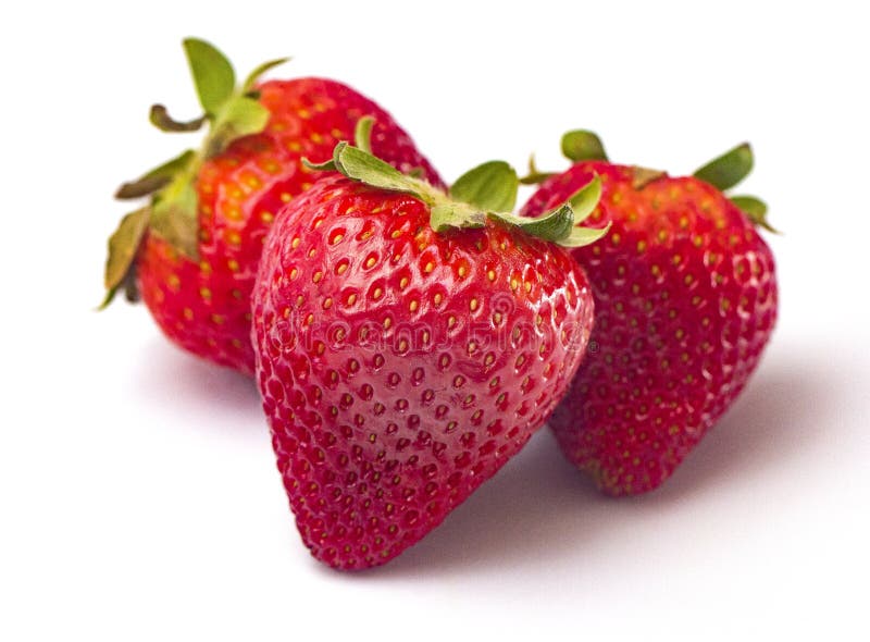 Fresh Strawberries on a White Background Stock Photo - Image of ...