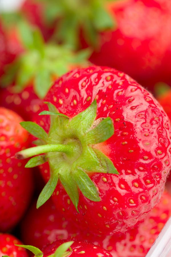 Fresh strawberry stock photo. Image of delicious, diet - 20093976