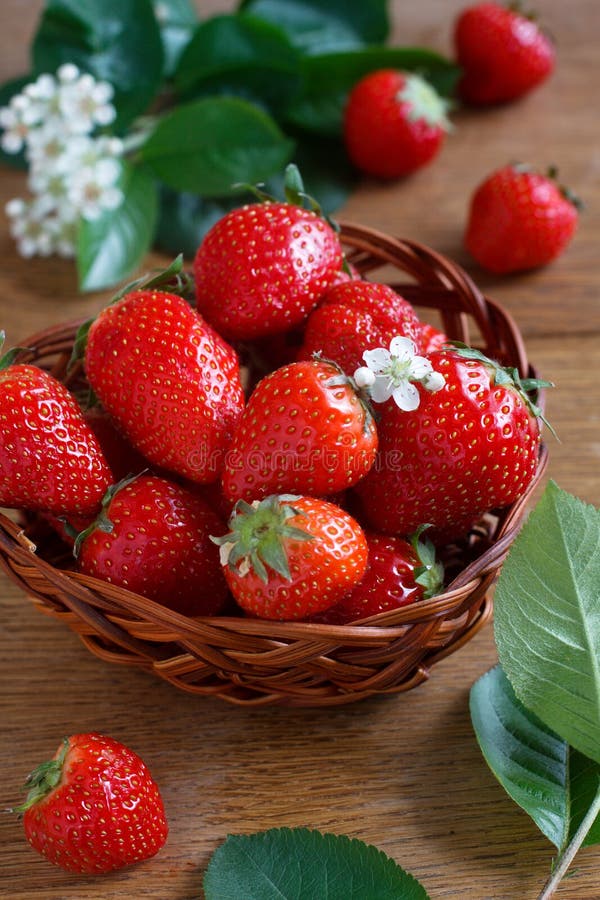 Fresh strawberry stock photo. Image of white, strawberry - 25303064