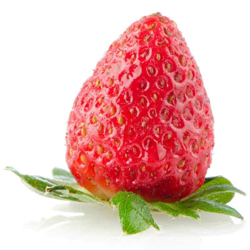 Fresh strawberry stock photo. Image of freshness, fruity - 27433218