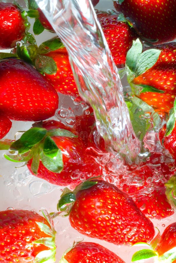 Fresh strawberry stock image. Image of blue, healthy, health - 3357157