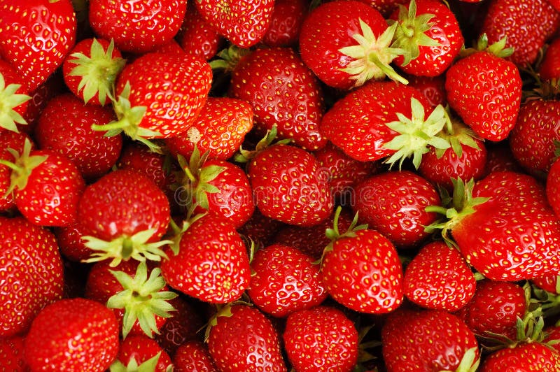 Fresh strawberry stock image. Image of nutrition, food - 4966435