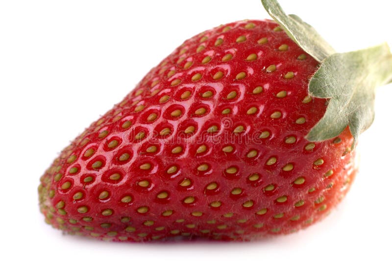 Fresh Strawberry Picture. Image: 8213935
