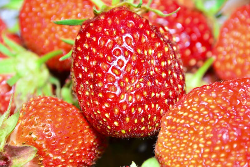 Fresh Strawberry Background. Strawberry Texture Stock Photo - Image of ...