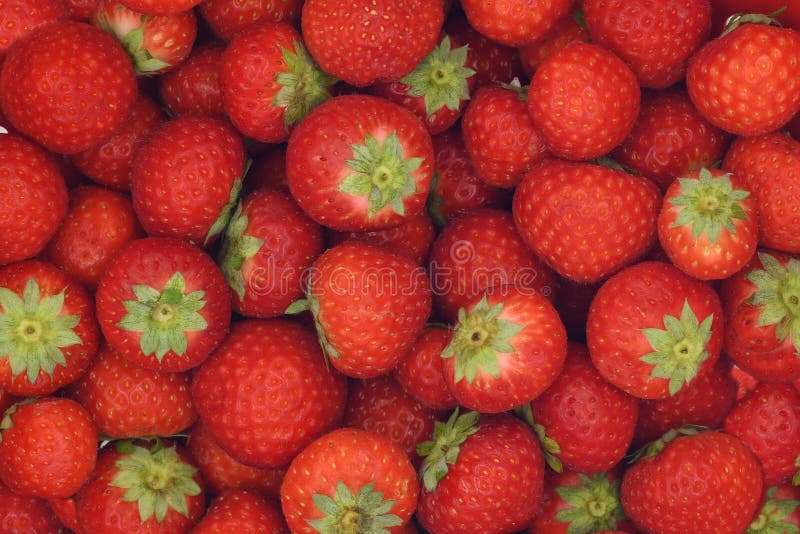 Fresh Strawberry Background Top View. Food Background Stock Image ...