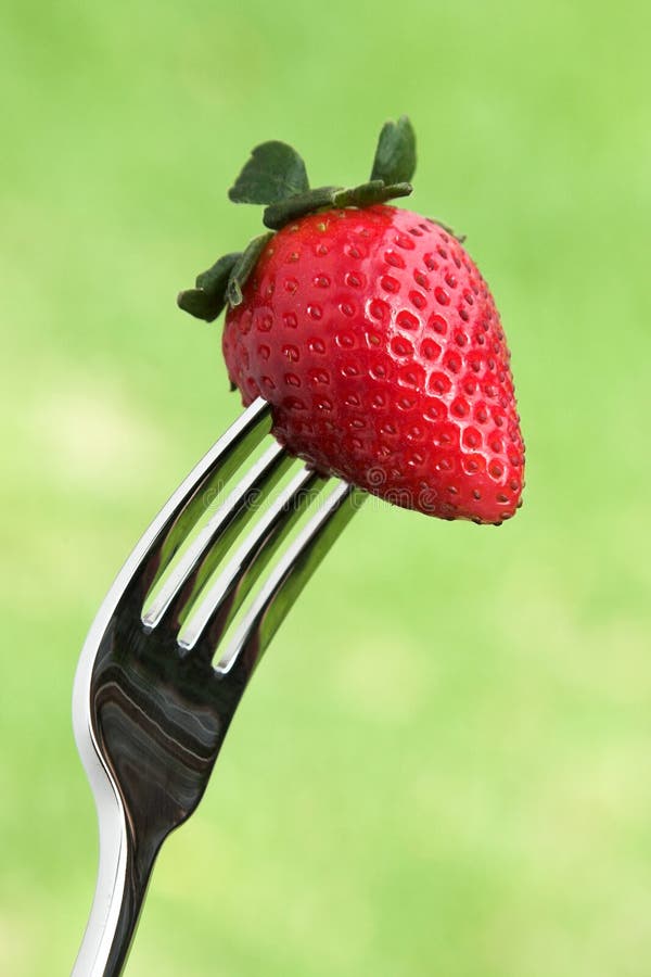 Strawberry on fork stock image. Image of nature, farm - 4948189