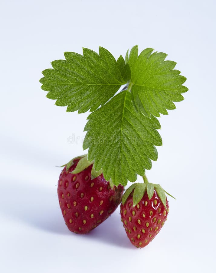Fresh Strawberry with Green Leaves Isolated Stock Photo - Image of ...
