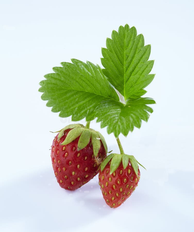 Fresh Strawberry with Green Leaves Isolated Stock Photo - Image of ...