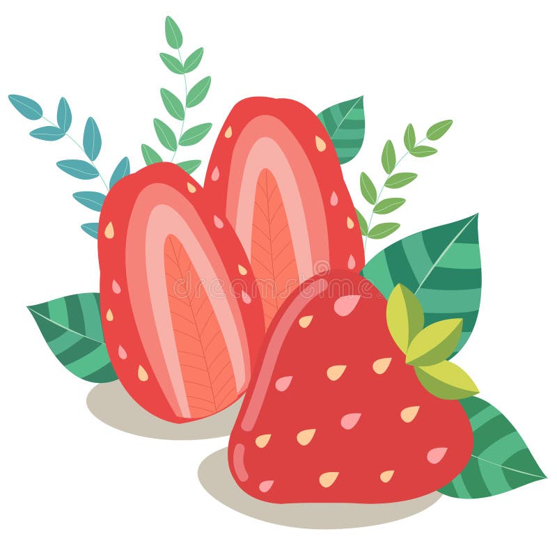 Strawberry Halves Stock Illustrations – 317 Strawberry Halves Stock ...