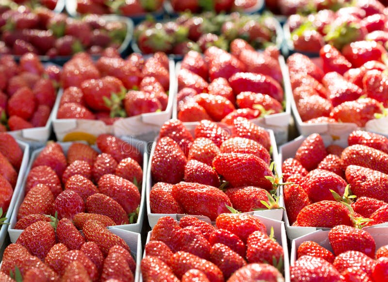 Fresh Strawberry on the Market Stock Photo - Image of organic, sweet ...