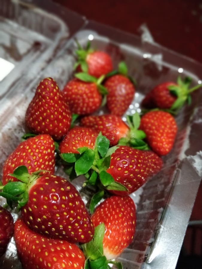 Strawberry Pack Isolated with a Clipping Path Stock Image - Image of ...