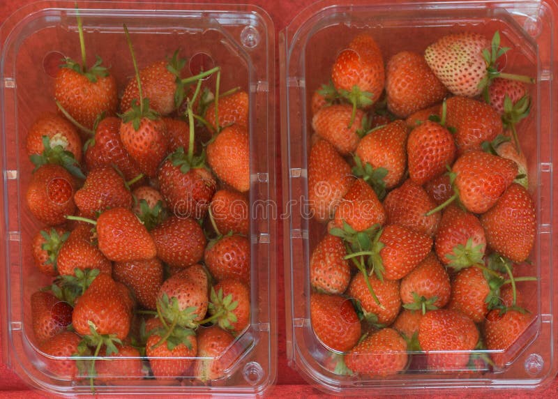 Fresh Strawberry in Plastic Package Display in a Market Stock Photo ...