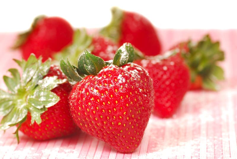 Fresh Strawberry with Powdered Sugar Stock Image - Image of juicy ...