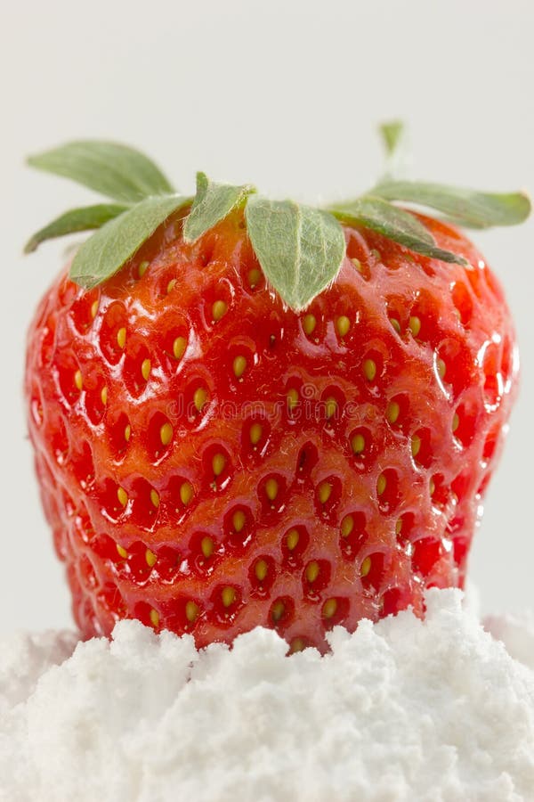 Fresh Strawberry with Sugar Powder Stock Photo - Image of strawbery ...