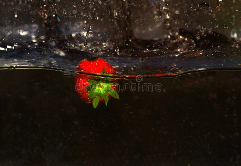 Strawberry in the water stock photo. Image of clean, water - 7425312