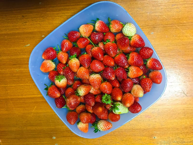 Fresh strawberry stock photo. Image of snack, nature - 289152060