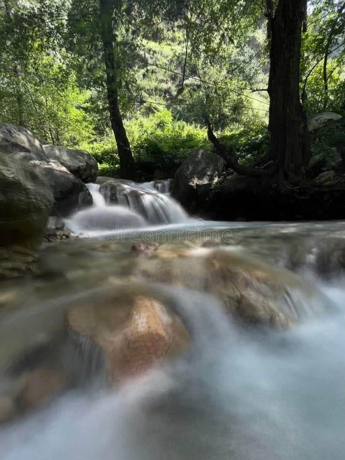 Fresh Stream Flowing Down the Rocks Surrounded by Trees Stock Photo ...