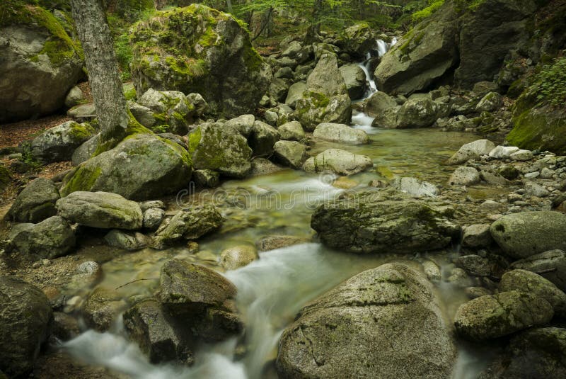 Fresh stream stock image. Image of river, tree, brook - 86259413