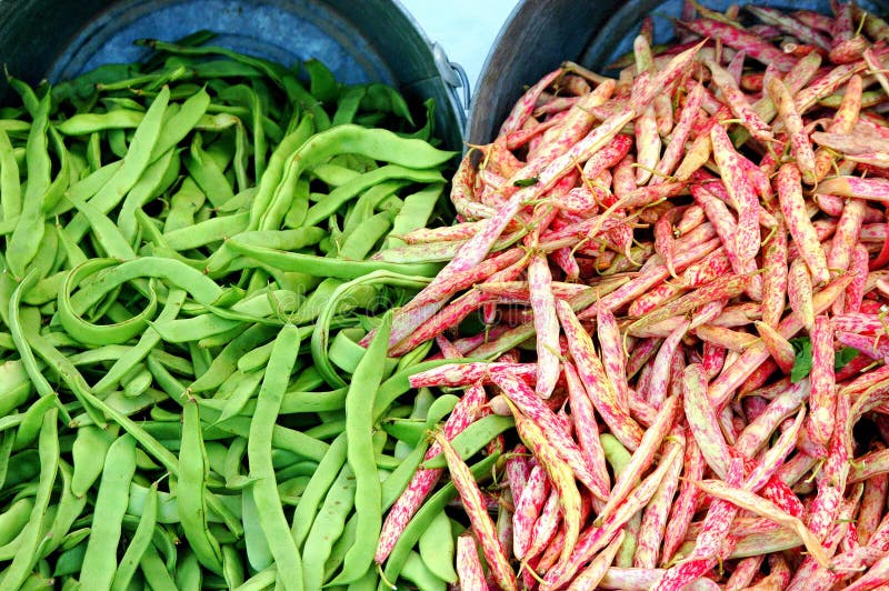 String Beans in Tubs Outside. Stock Photo - Image of market, beans ...