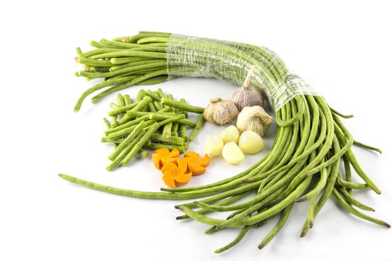 Fresh string beans stock photo. Image of bucket, white - 14448292