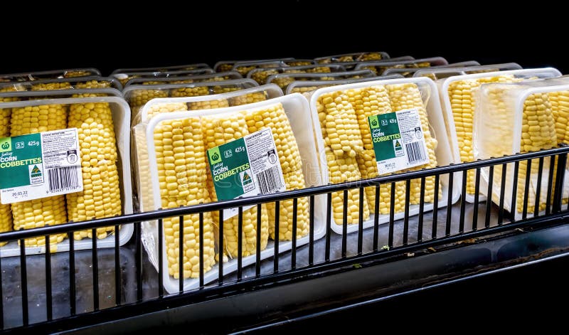 Fresh Succulent Mini Corn Cobs Cobbettes Packaged in Plastic Containers ...