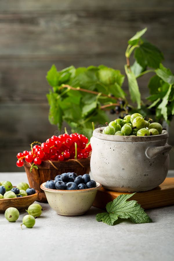 Fresh Summer Berries in Assortment Stock Image - Image of juicy, vegan ...