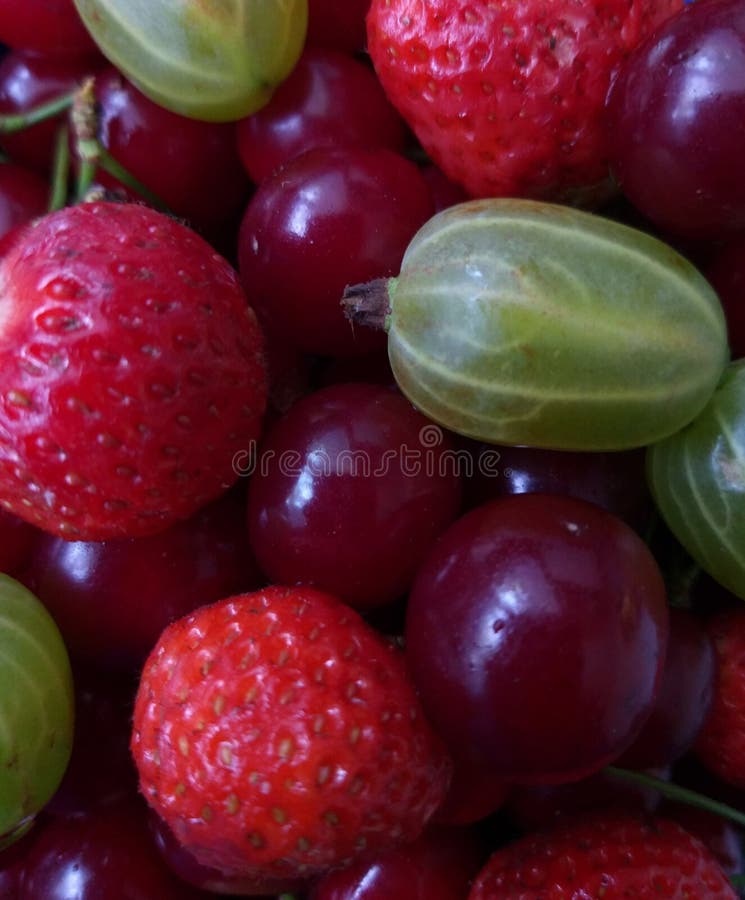 Fresh Summer Berries, Healthy Food Stock Photo - Image of white, view ...