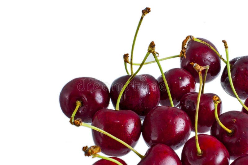Fresh Summer Dark Red Sweet Cherry Stock Image - Image of isolated ...