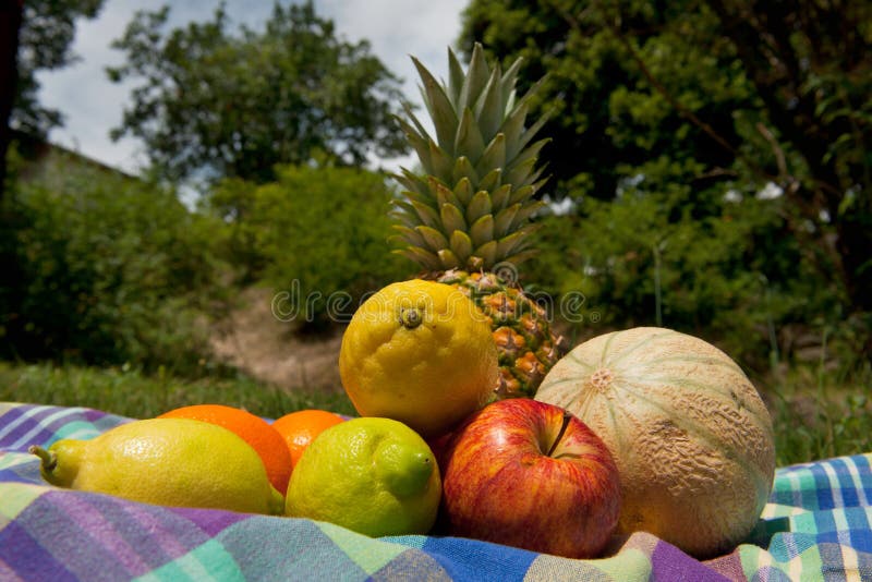 Fresh summer fruit stock image. Image of trees, cloth - 15001361