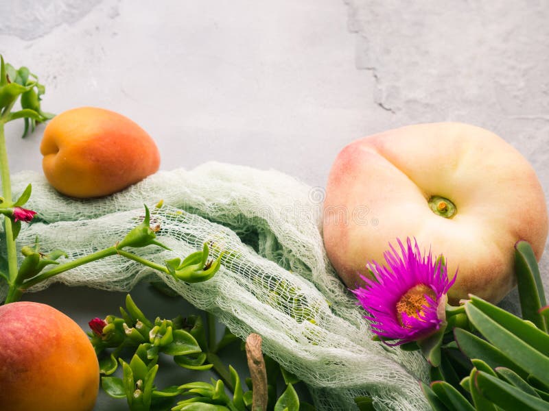 Fresh Summer Fruit Concept Still Life Stock Photo - Image of natural ...