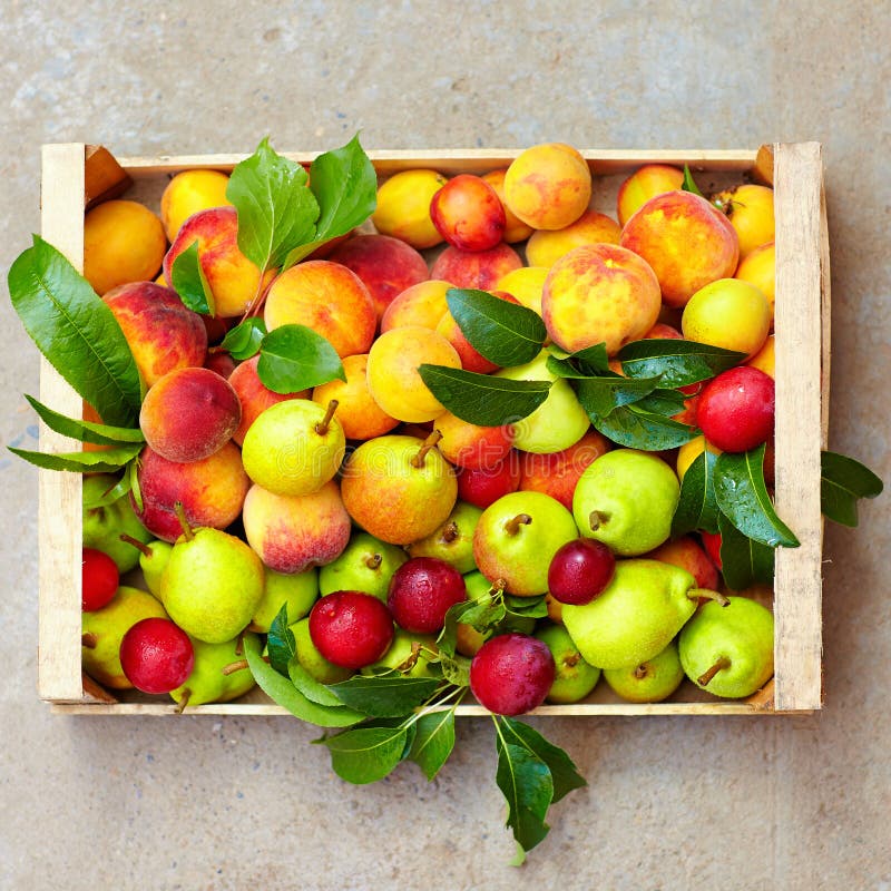 Fresh Summer Fruit in Crate Stock Photo - Image of basket, colorful ...