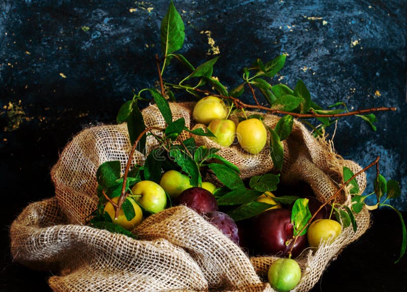 Fresh Summer Plums Inside Jute Stock Image - Image of jute, juicy ...